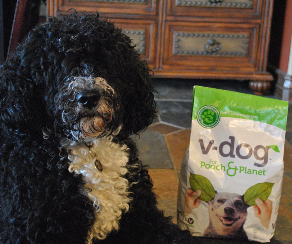 V-Dog Review and Sample Giveaway | Vedged Out